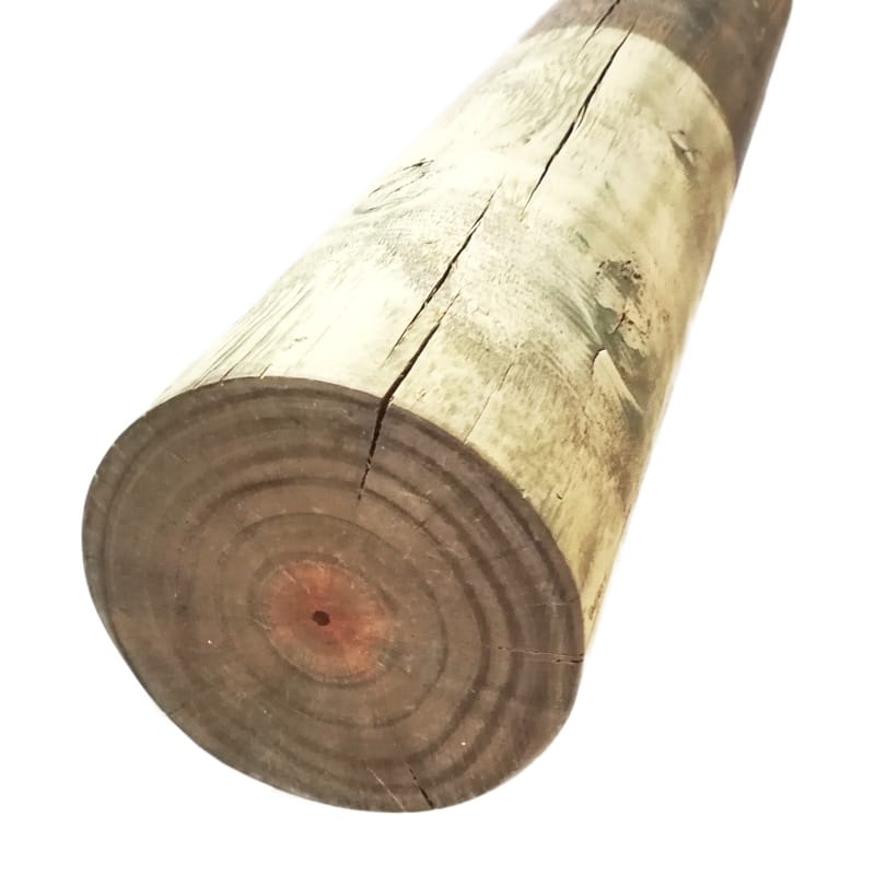Pine Poles – Cape Reed International