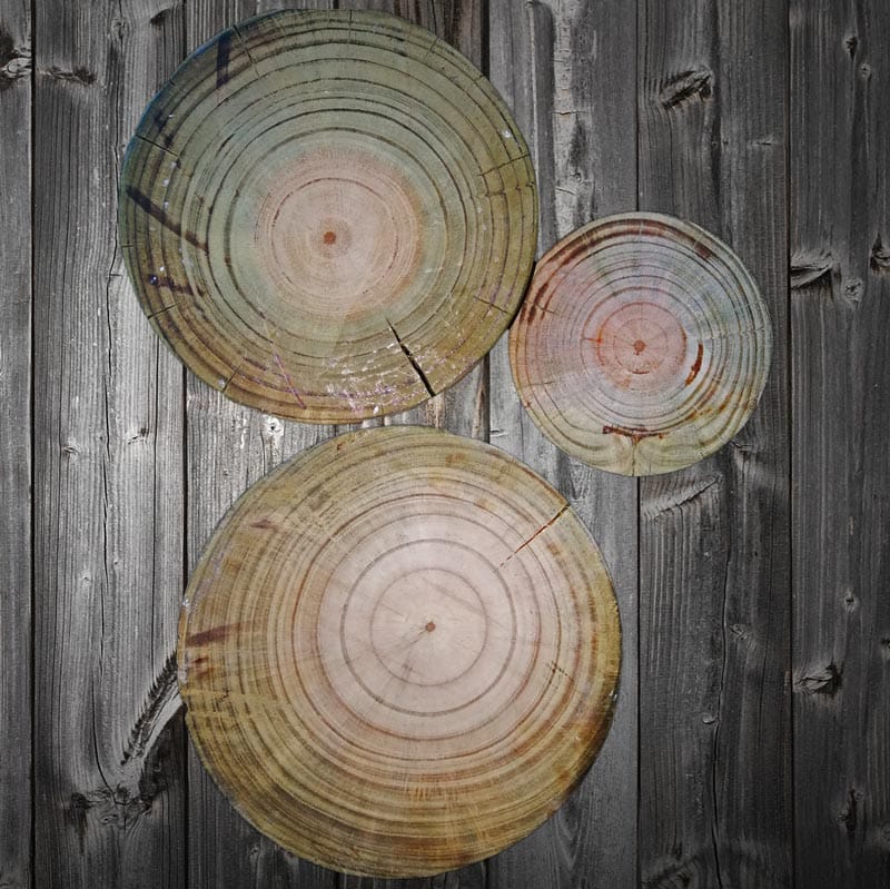 Pine Poles – Cape Reed International