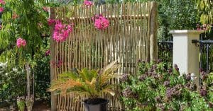 5 Ways to Use Timber to Glam Up Your Garden this Summer